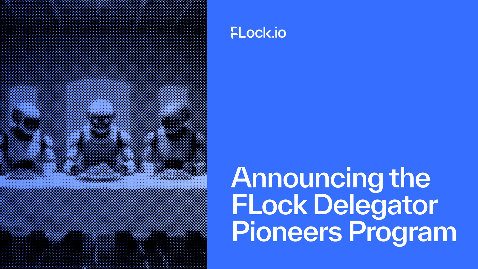 FLock Delegator Pioneers Program